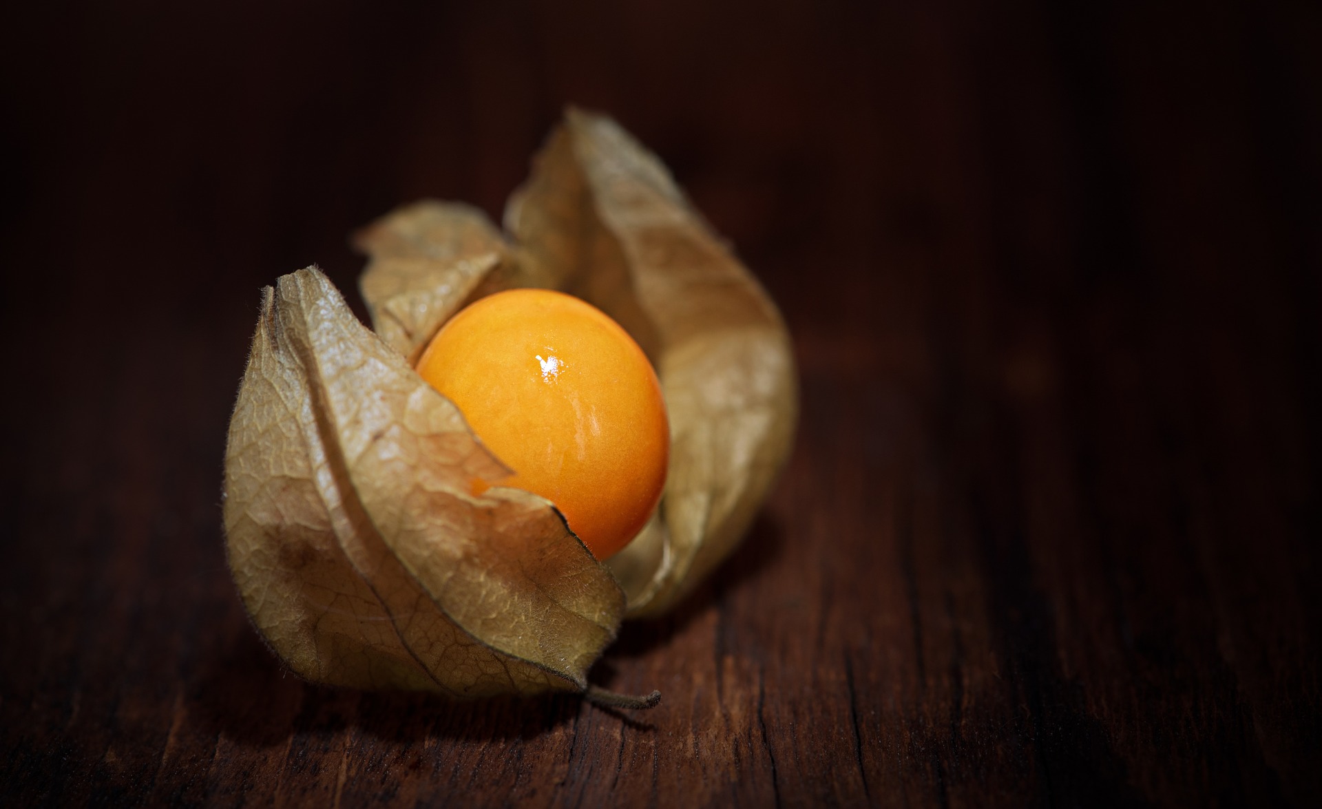 Le Physalis : un super aliment ! - Biocoop Pays Basque